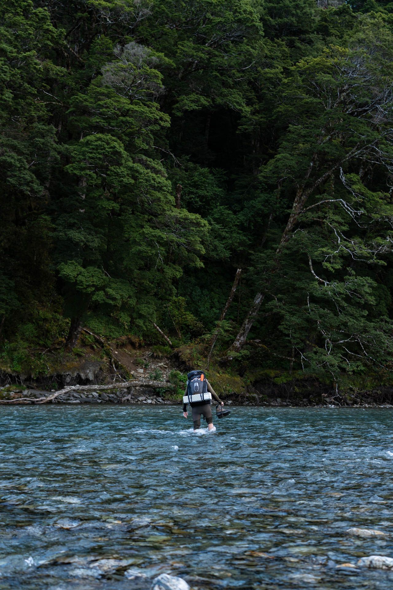 Gillespie Pass Circuit Trip Report, New Zealand | Gone